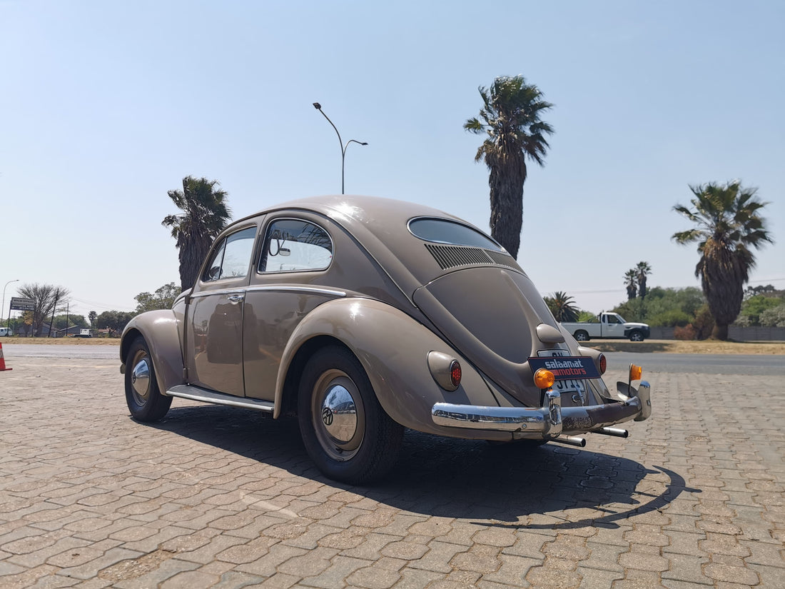1957 Volkswagen oval window beetle 6 volt – Salaamat Motors
